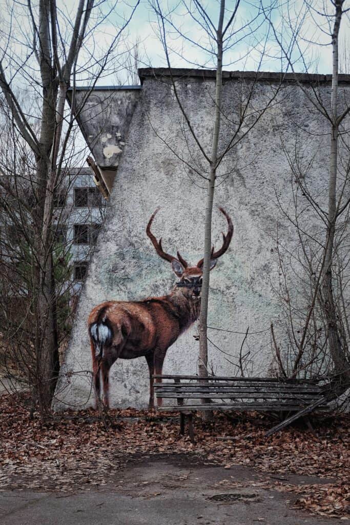Chernobyl Tour: A Unique Adventure in Ukraine - Go Backpacking