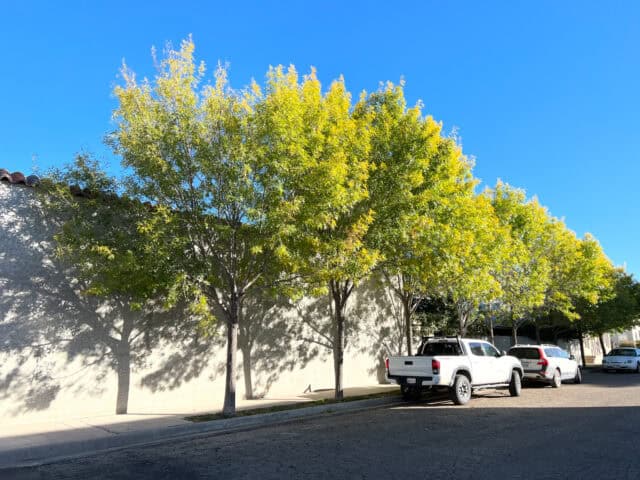 Top 10 Things To Do in Marfa, Texas - Go Backpacking