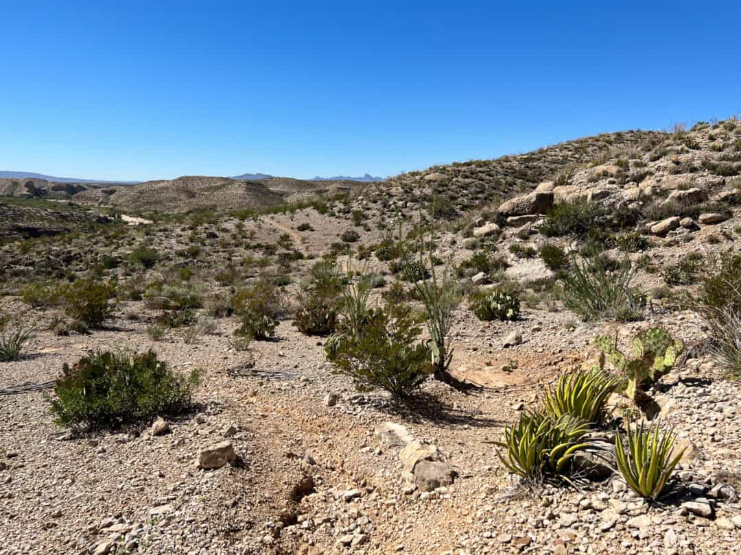 Hiking Hot Springs Canyon Trail in Big Bend National Park