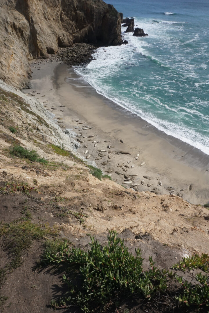 Point Reyes National Seashore: Hike, Kayak, and Explore