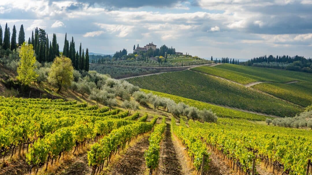 8 of the Oldest Wineries in the World - Go Backpacking
