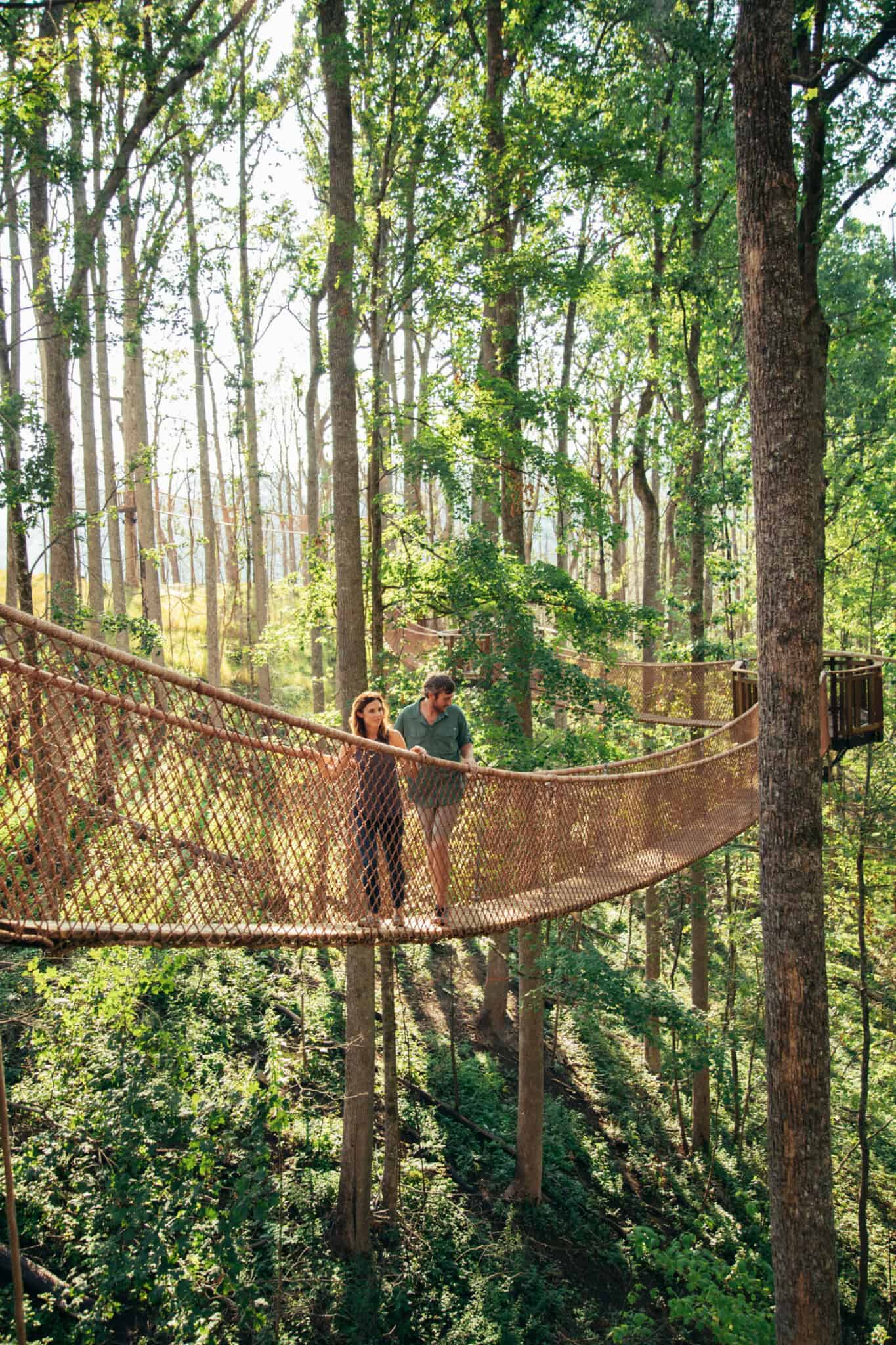 Exploring Anakeesta's Treetop Skywalk in Gatlinburg: Tips & Tricks