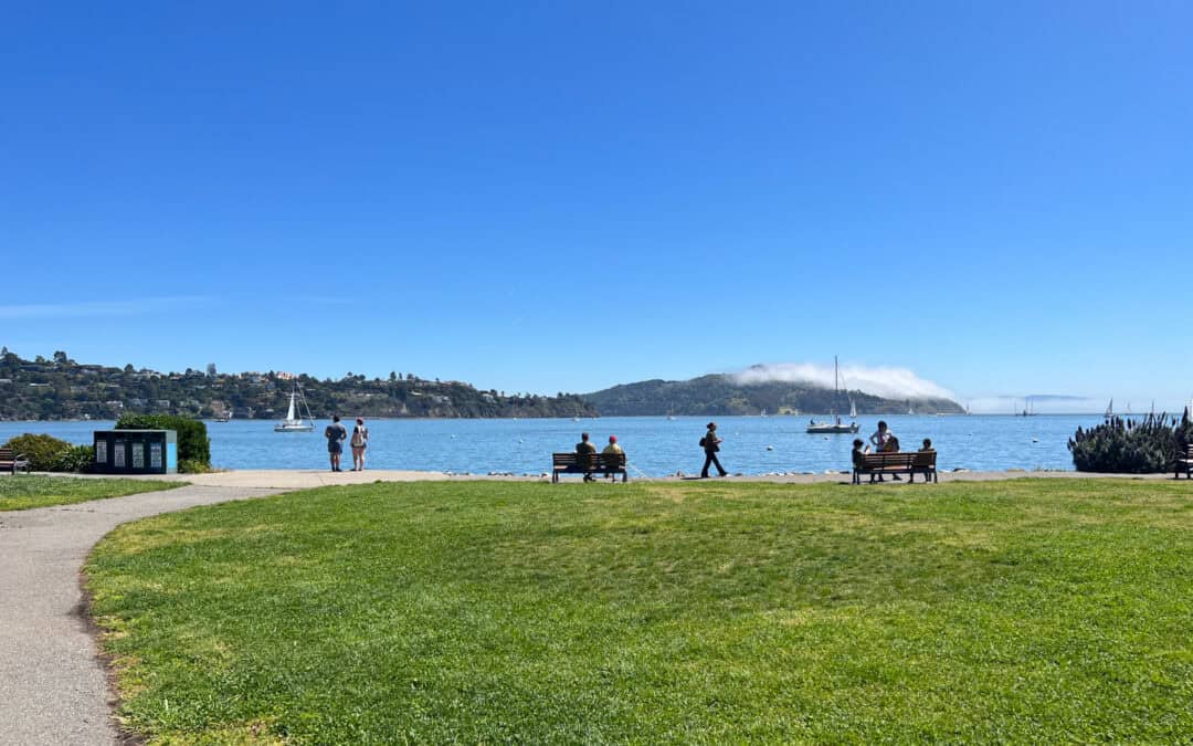 Alcatraz with Muir Woods and Sausalito Tour (San Francisco)
