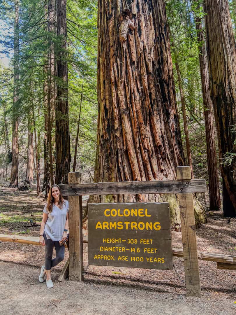 Armstrong Redwoods SNR: A Walk Among Giants in California
