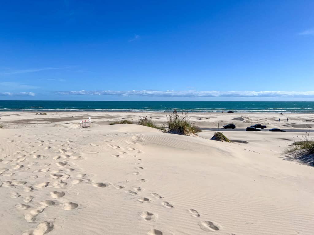 13 Fun Things To Do on South Padre Island