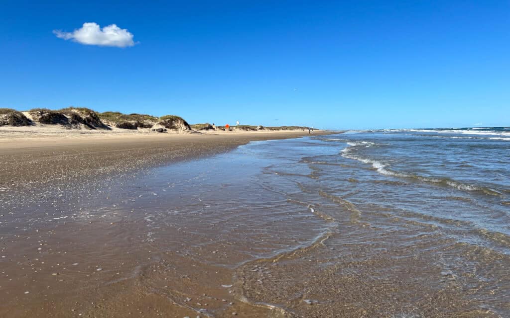 Visiting SpaceX and Boca Chica Beach: A South Texas Road Trip