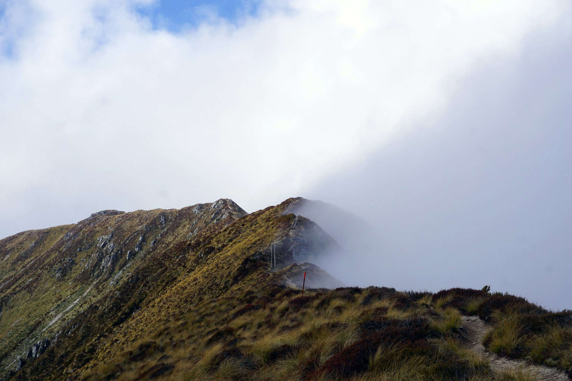 Best Hiking Trails in New Zealand for Multi-Day Adventures