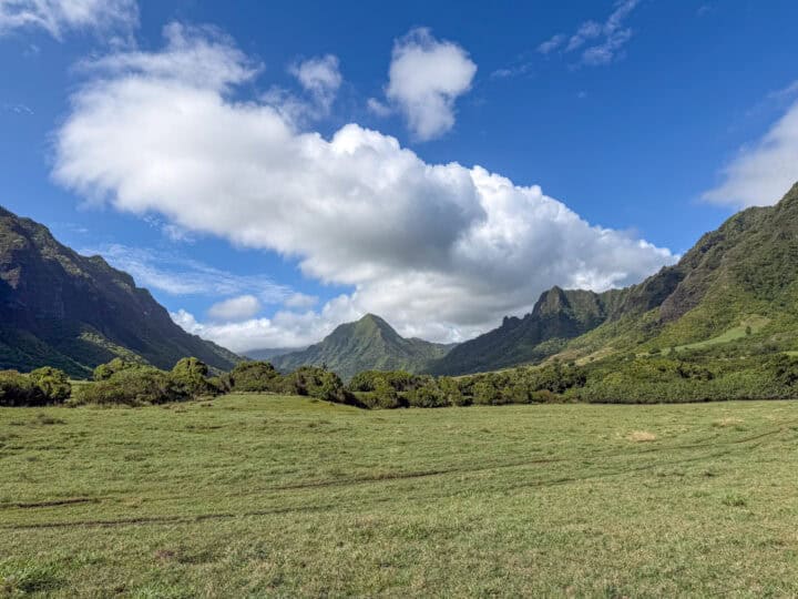 Inside the Jurassic Adventure Tour at Kualoa Ranch on Oahu