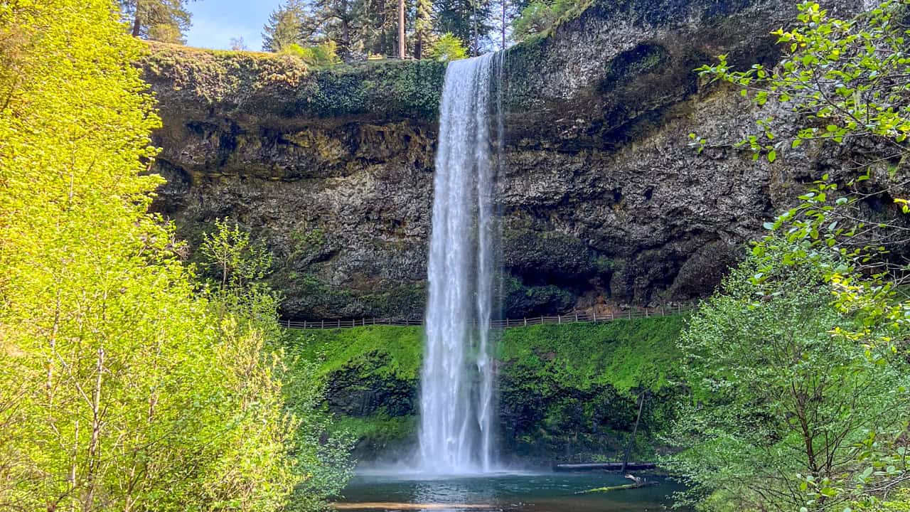 Silver Falls State Park Hiking: Waterfall Trails Worth a Short Detour