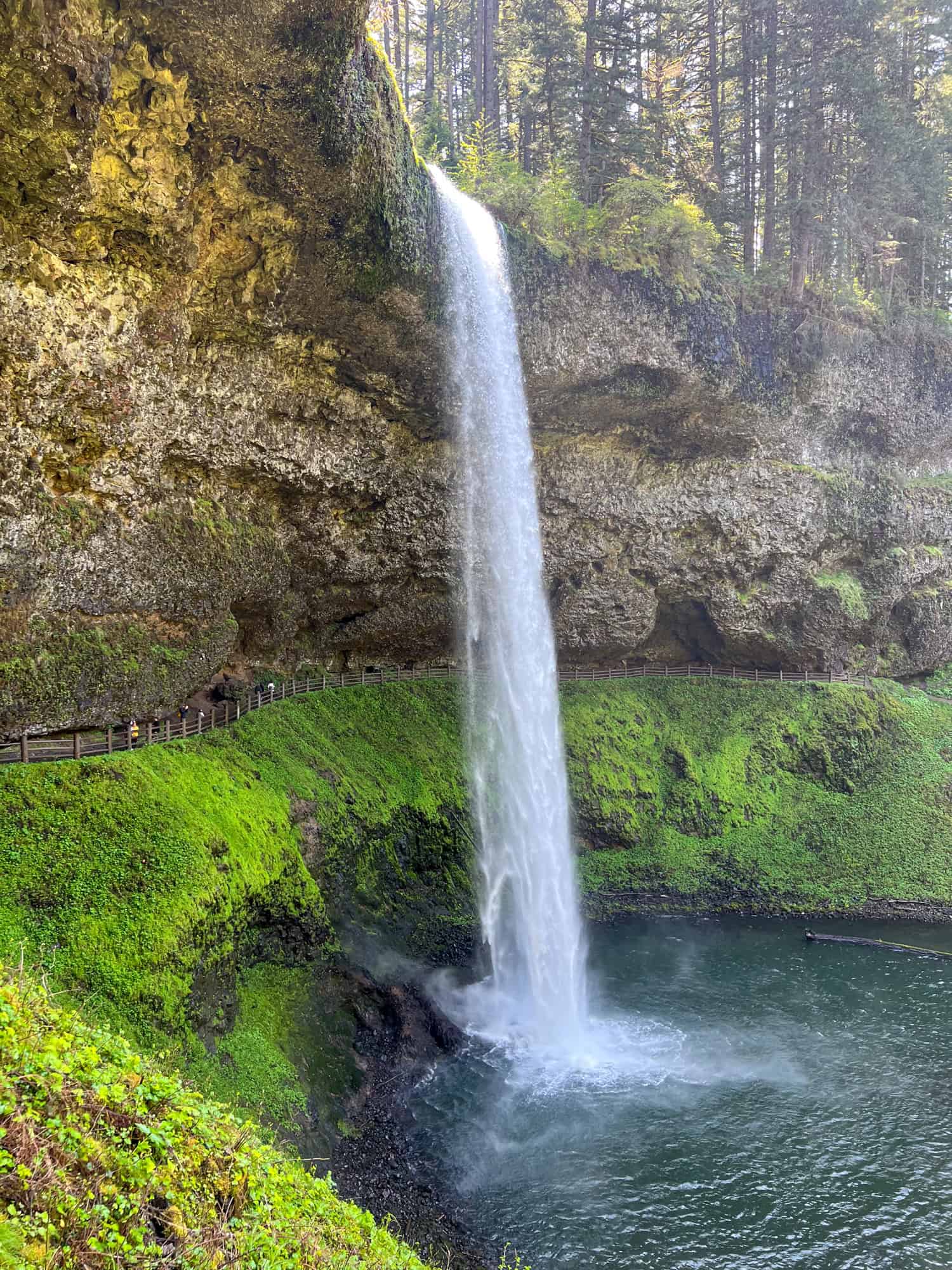 Silver Falls State Park Hiking: Waterfall Trails Worth a Short Detour